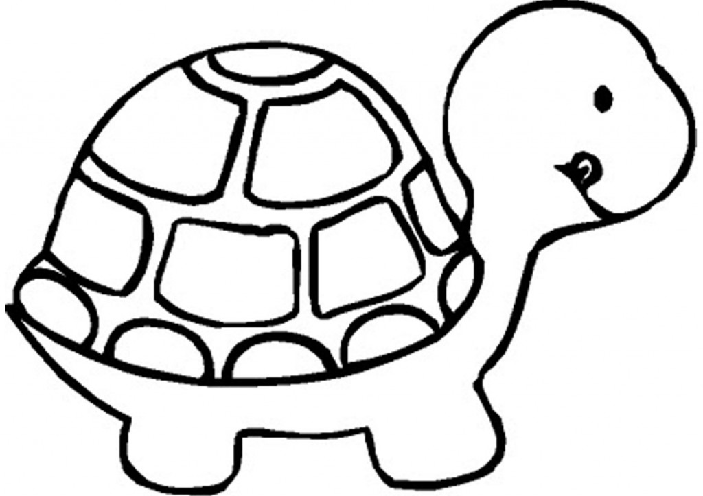 Tortuga Para Colorear Pintar E Imprimir