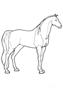 yegua para colorear